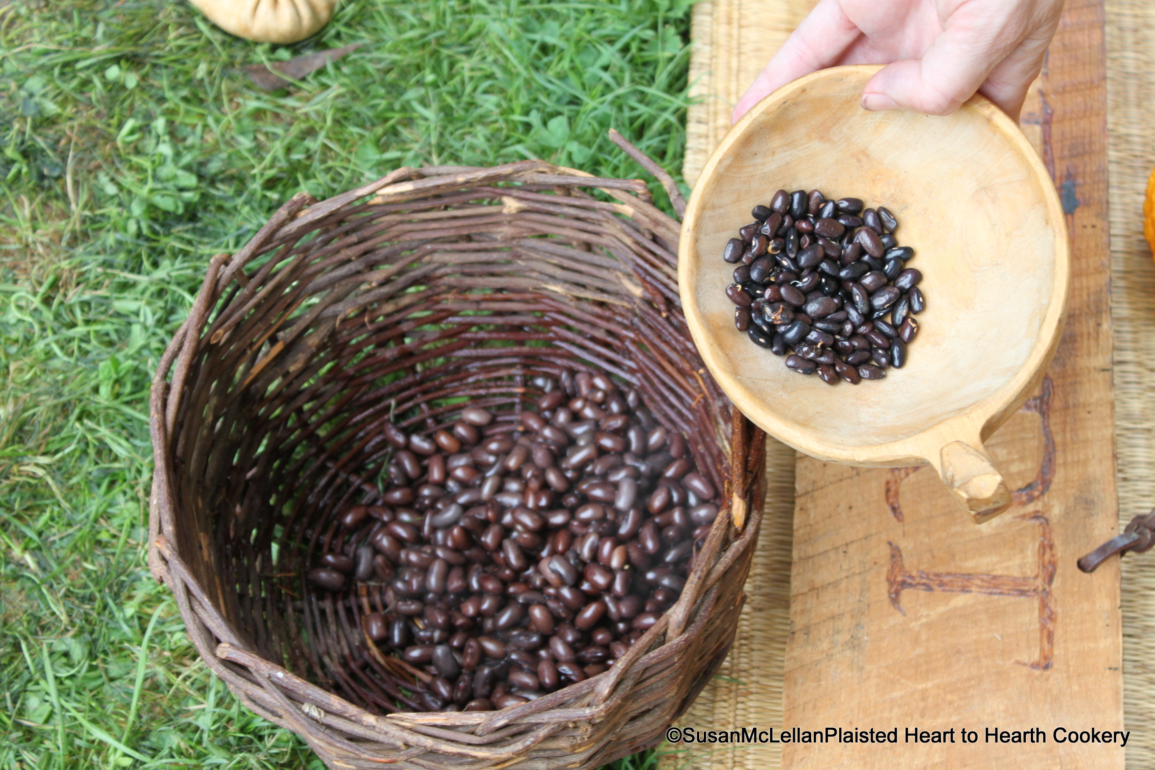 Shackamaxon Beans Boiled | Heart to Hearth Cookery
